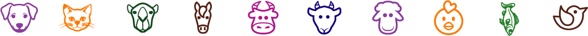 Animal-Icons-Product-Page.jpg